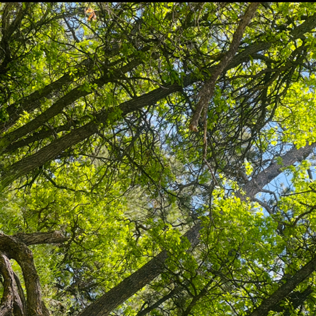 Stream Roll Up pt.2 by Aquila | Listen online for free on SoundCloud