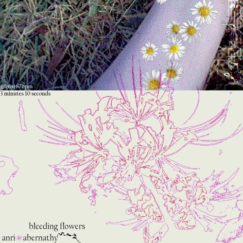 Stream bleeding flowers by anri abernathy | Listen online for free on ...