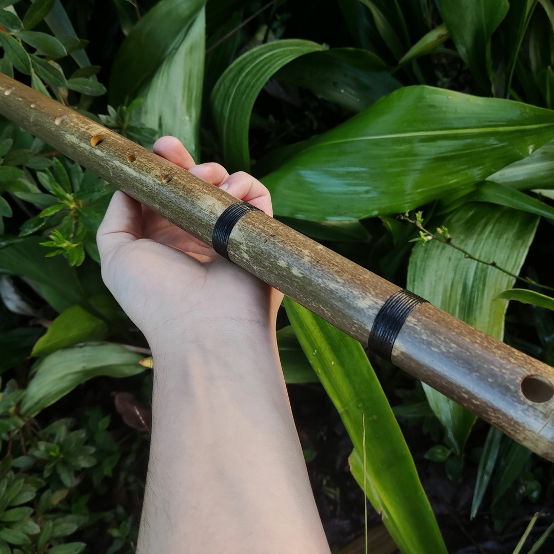 Stream E Aeolian Bamboo Transverse Flute by Rui Gomes | Listen online ...