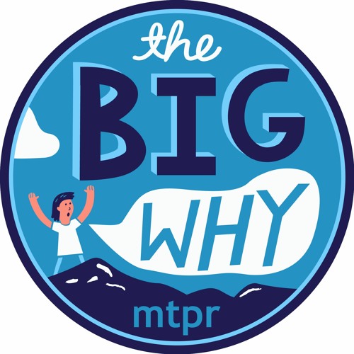 Stream episode MTPR’s Austin Amestoy & The Big Why by A New Angle ...