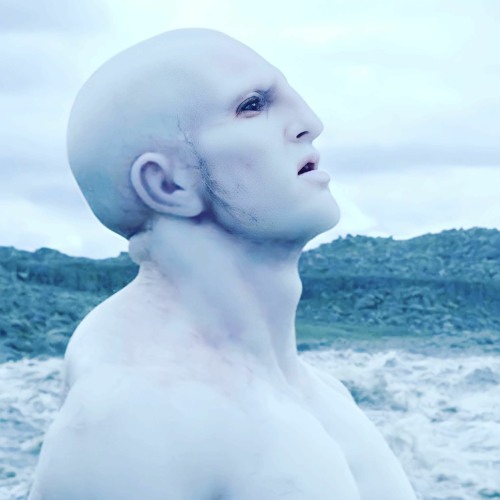 Stream Tofu - Phiêu Bồng Ft. Vovanduc by Qlong | Listen online for free ...