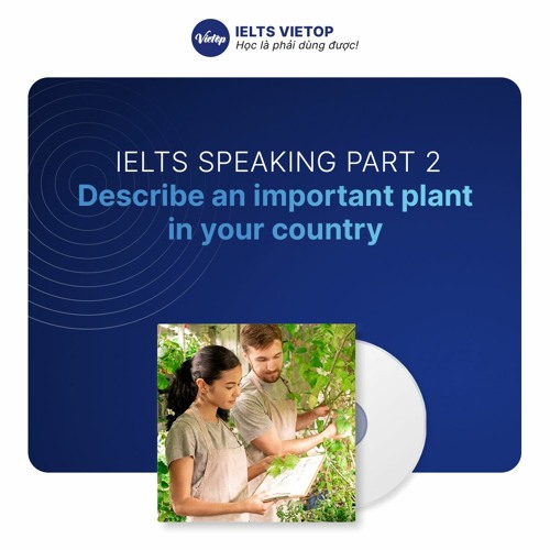 Stream IELTS Speaking Part 2 sample: Describe an important plant in ...