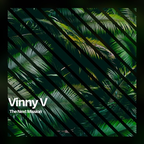 Stream Vinny V - The Next Mission by Vinny V | Listen online for free ...