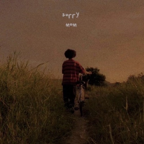 Stream sorry mom by heylu | Listen online for free on SoundCloud