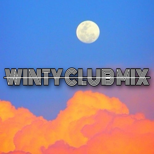 Stream WINTY CLUB MIX 2024 Vol.1 by WINTY | Listen online for free on ...
