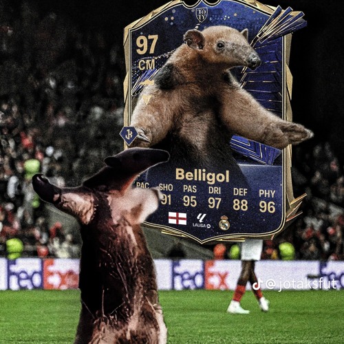 Stream Belligol by IamErnis | Listen online for free on SoundCloud