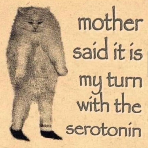 Stream Hisoka moaning 😩 by wtf is that | Listen online for free on ...