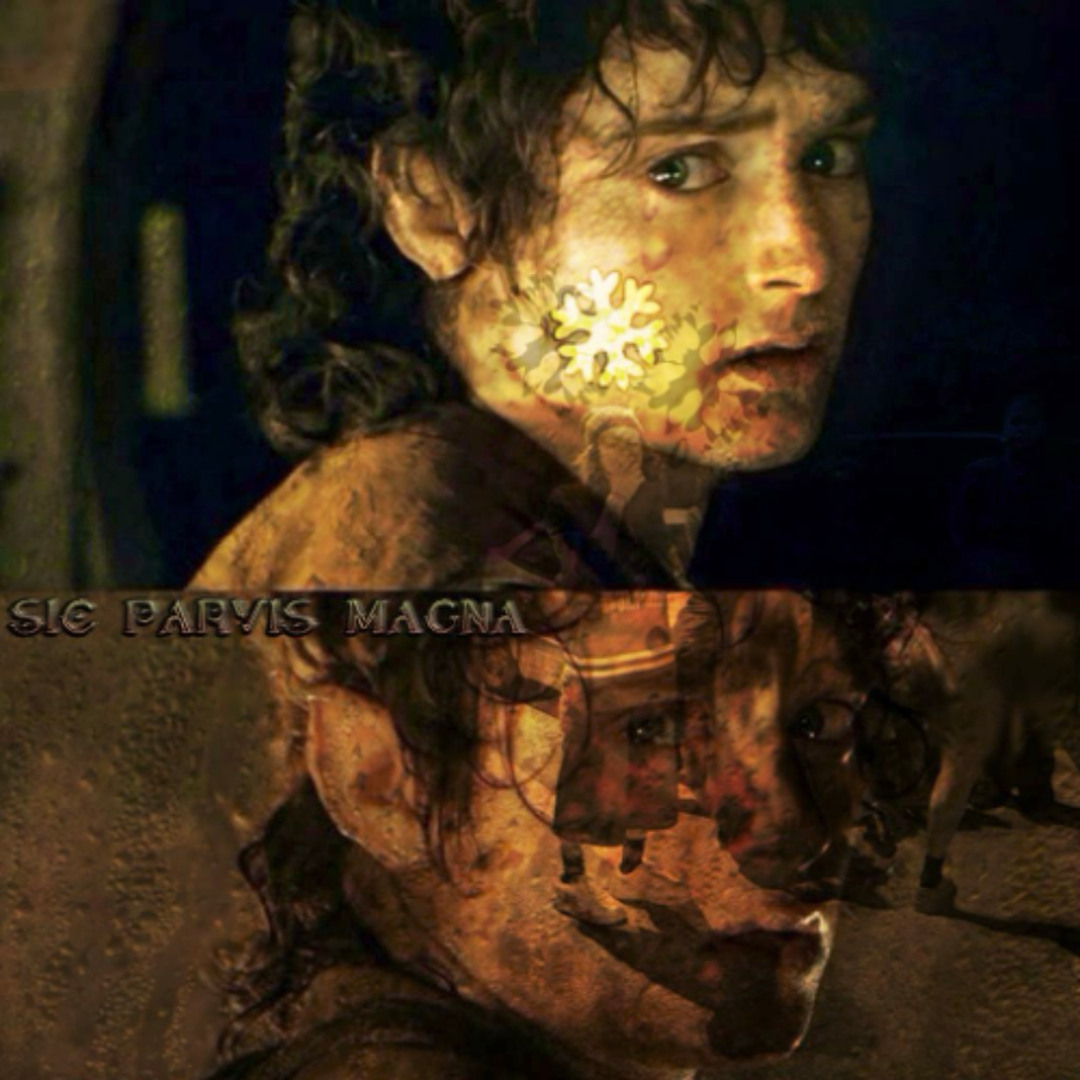 Stream i need a fix, i am sober prod. miami by heartstopmiami | Listen ...