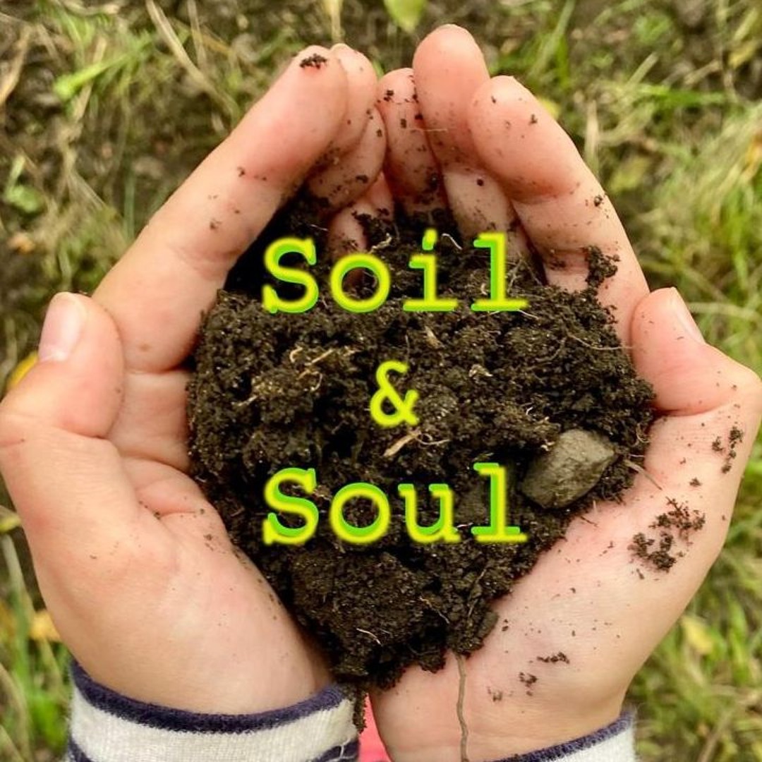 Stream Open Jar Collective | Listen to Soil and Soul playlist online ...