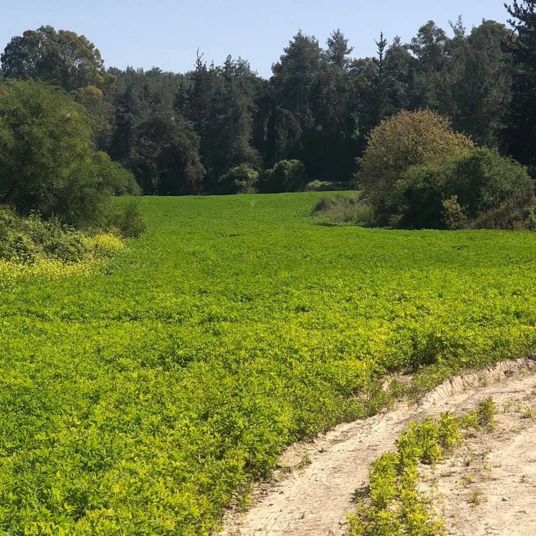 Stream Water Rats -opening theme by Jude Litoff composer | Listen ...