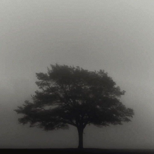 Stream Yurd | Listen to let's start listening this playlist playlist ...