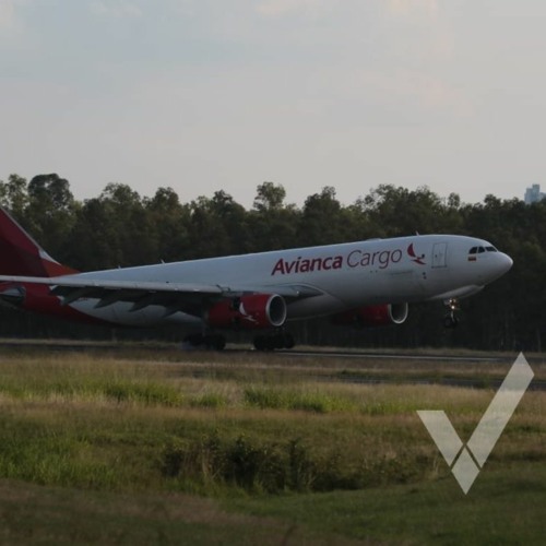 Stream Dr. Héctor Castro, director del PAI, sobre el proceso de ...