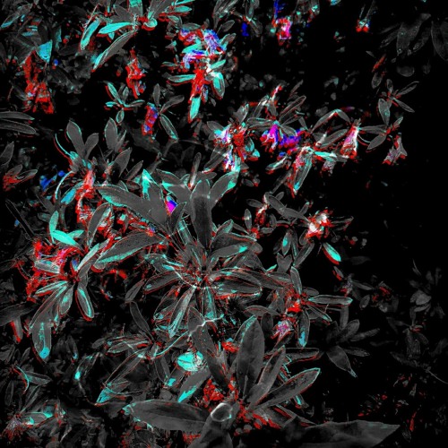 Stream I Do without U (Prod.See The Sun) by Zody Acloe | Listen online ...