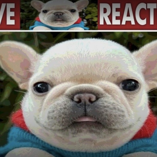 Stream CRAZY STORY BY KING VON COVER w/o sound effects by PIBBLE MC ...