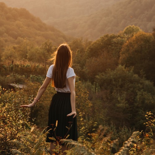 Stream The 'Inner Switch' of Zazen - Jundo Cohen by Treeleaf Sangha ...