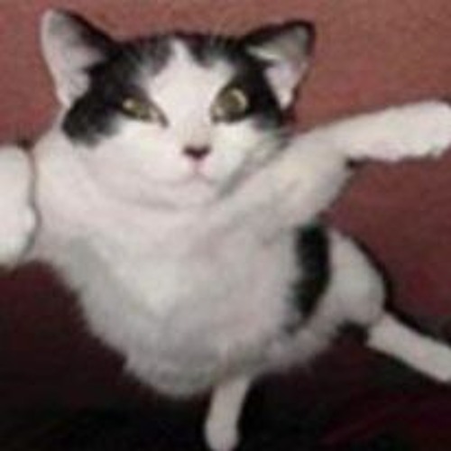 Stream SKIBIDI GYATT OHIO CHEESE CAT MEOWS TO INSTRUMENTALS OF ERIKA by ...