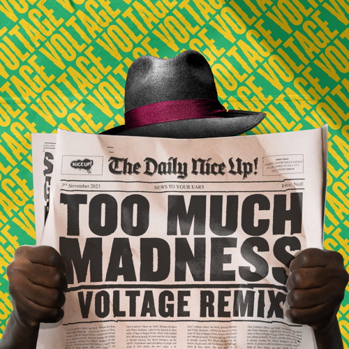 Stream Too Much Madness (Voltage Remix) by Ragga Twins | Listen online ...