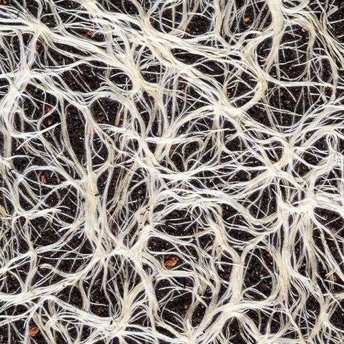 Stream Beyond Here by Christopher Kinman | Listen online for free on ...