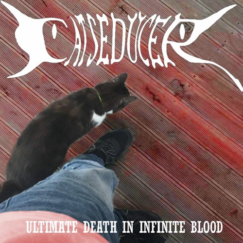 Stream Cat Seducer | Listen to Ultimate Death in Infinite Blood ...