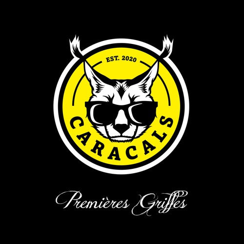 Stream Caracals - Caracal FM by Caracals | Listen online for free on ...