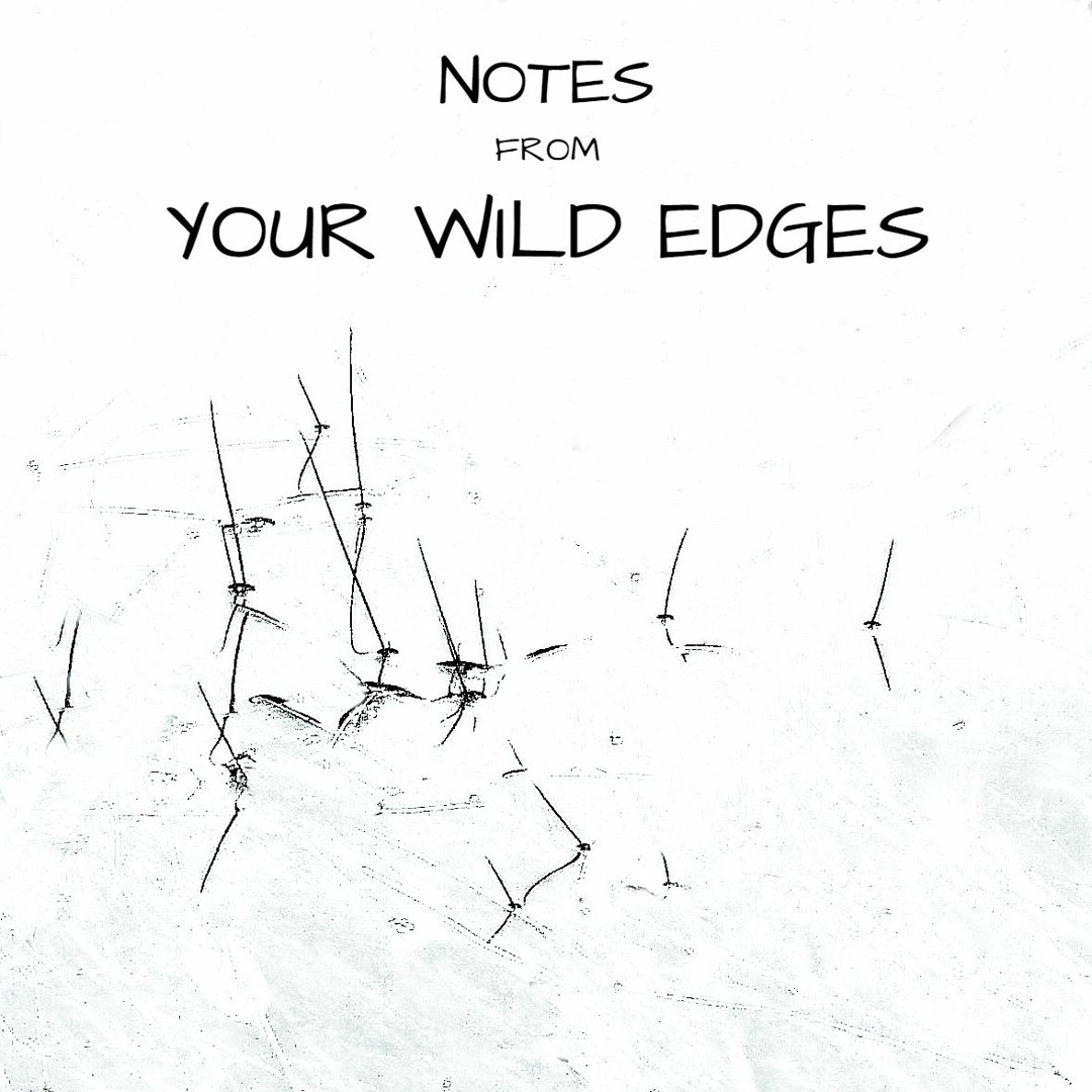 Stream Storm Eowyn by Notes From Your Wild Edges | Listen online for ...