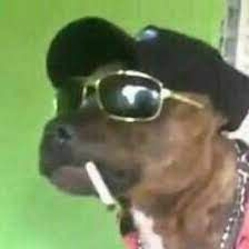 Stream ÁGUA NÃO SE MISTURA COM ÓLEO NEM NÓIS COM COMÉDIA by João kr ...