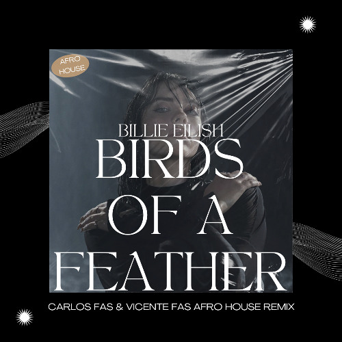 Stream Billie Eilish - Birds Of A Feather (Carlos Fas & Vicente Fas ...