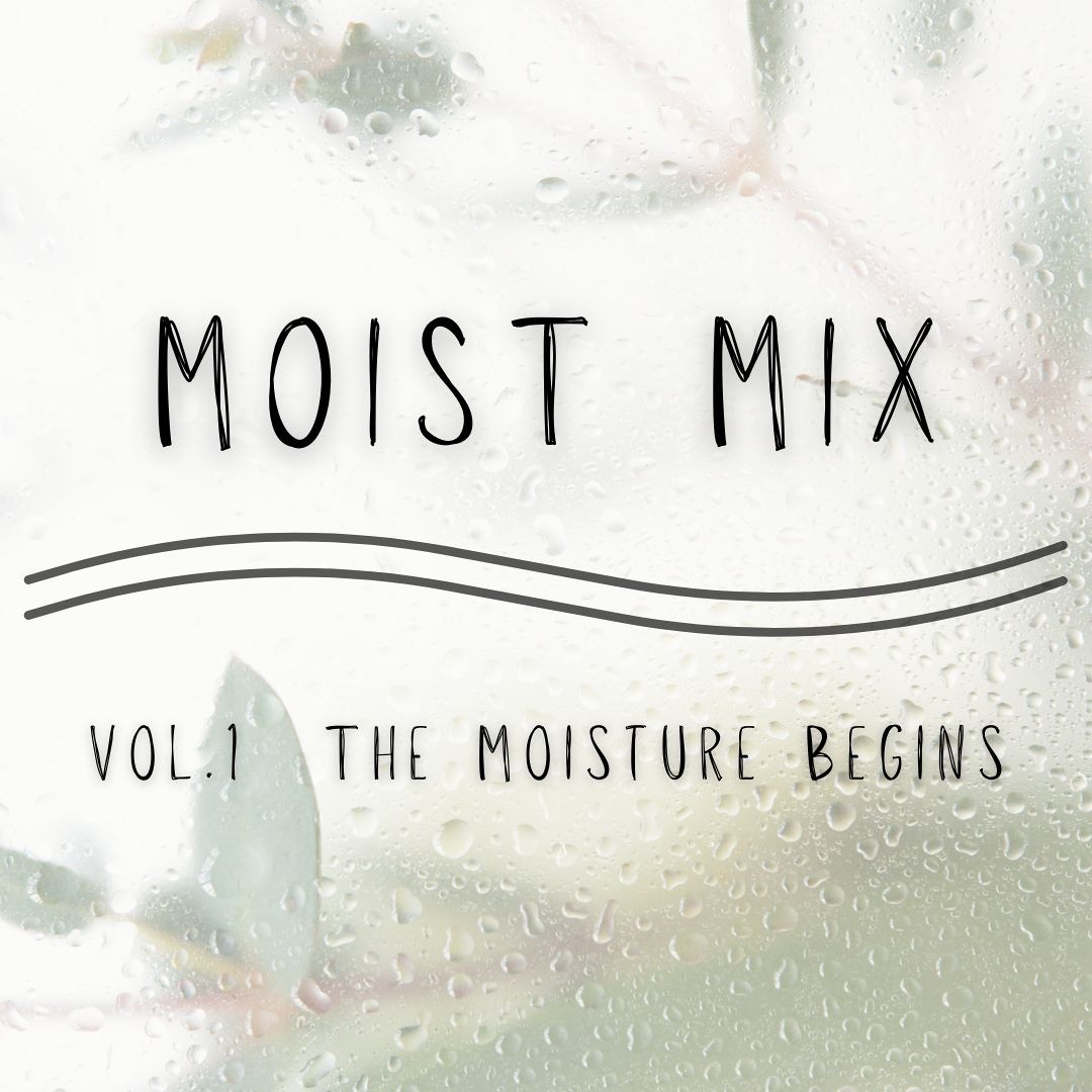 Stream Moist Mix Vol. 1 The Moisture Begins by Caraboo | Listen online ...