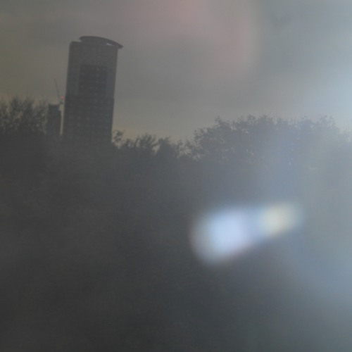 Stream one by Chinese quince spring break & spring break Chinese ...