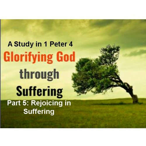 Stream Part 5: Rejoicing In Suffering - Pastor Brad by Peace Lutheran ...