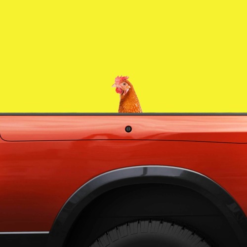 Stream Why We Can't Have Nice Things: The 'Chicken Tax' That Makes ...