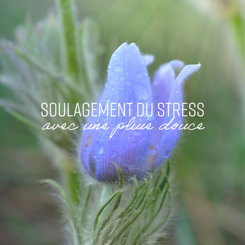 Stream Sons de pluie pour dormir by Musique de Réflexion Academy ...