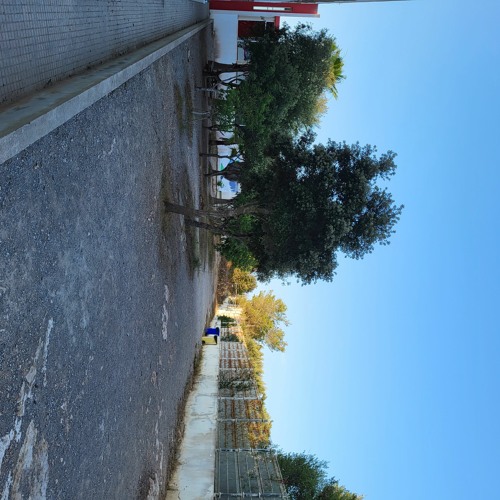 Stream IES Marc Ferrer by Formentera2023soundmap | Listen online for ...