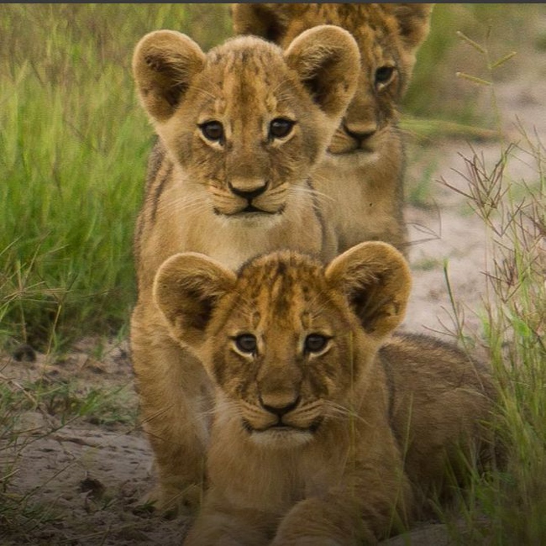 Stream YUNG PINT - 888. Emo Tryhard by thuggpint archive | Listen ...