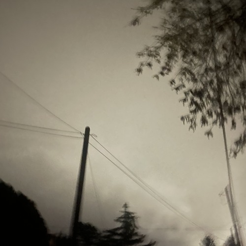 Stream 🌲Frode | Listen to late night forest dwellings of a wizard ...