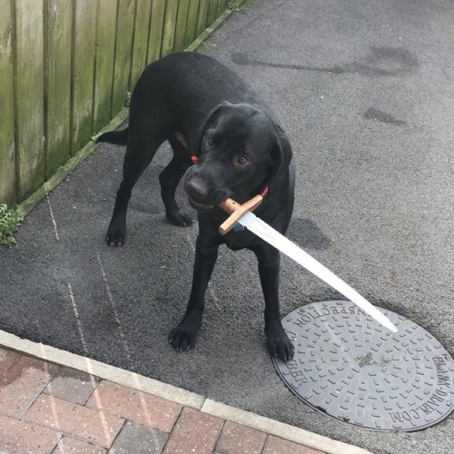 Stream lament by reswob | Listen online for free on SoundCloud