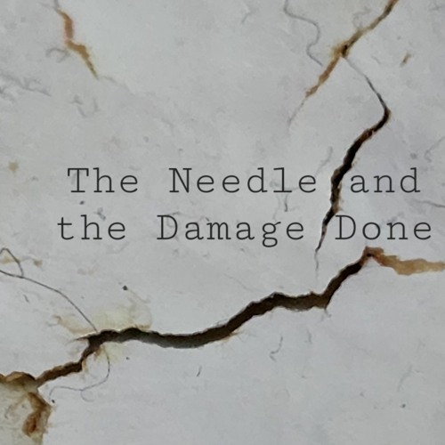Stream Needle And The Damage Done Cover by Jenni Cary | Listen online ...