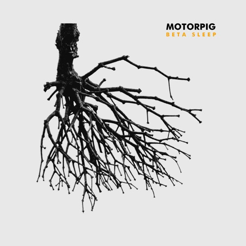 Stream Beta Sleep by Motorpig | Listen online for free on SoundCloud