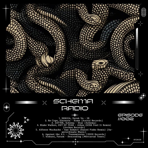 Stream Schema Radio: Episode 002 | Derek Vo by Schema | Listen online for free on SoundCloud