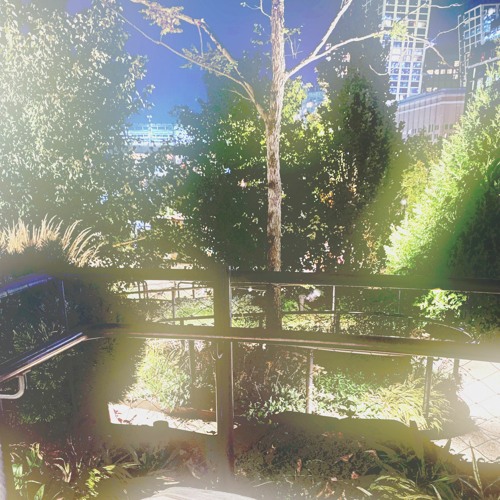 Stream cedar by moony | Listen online for free on SoundCloud Stream cedar by moony | Listen online for free on SoundCloud