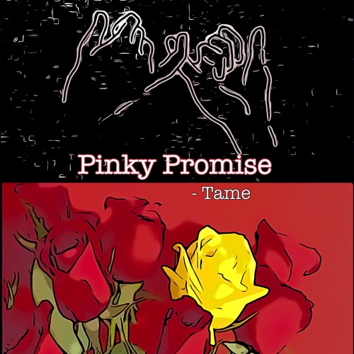 Stream Pinky Promise - 2020 (Official Audio) by Tame | Listen online ...