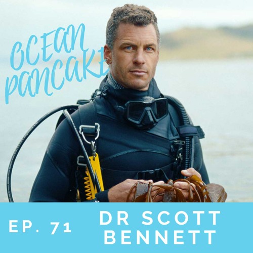 Stream episode 70 Giant Kelp Forests can grow half a meter per year with Dr Scott Bennett by ...