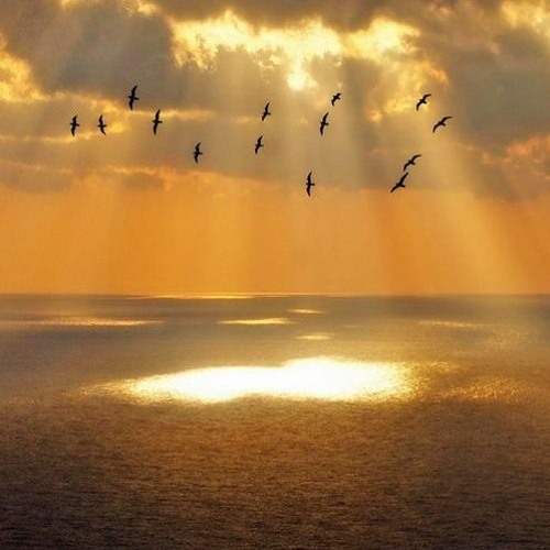 Stream BERIVAN by 𝑍𝑦 | Listen online for free on SoundCloud