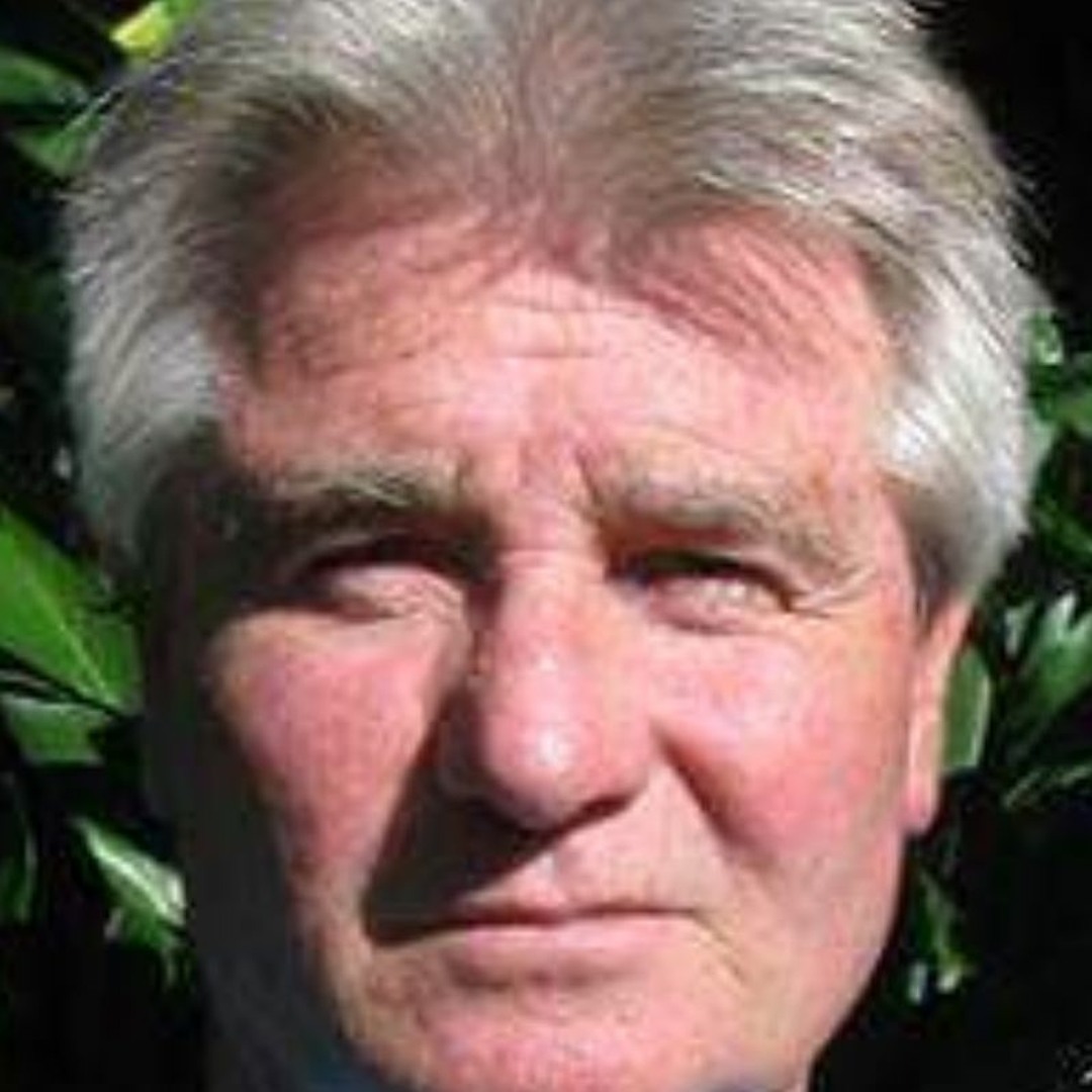 Stream Midget Love Ft. YSwazi (Prod. SkippyOfficial) by YSwazi | Listen ...