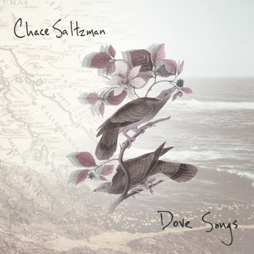 Stream Chace Saltzman | Listen to Dove Songs playlist online for free ...