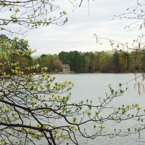 Stream Historic Yates Mill County Park | Listen to Spring has Sprung ...