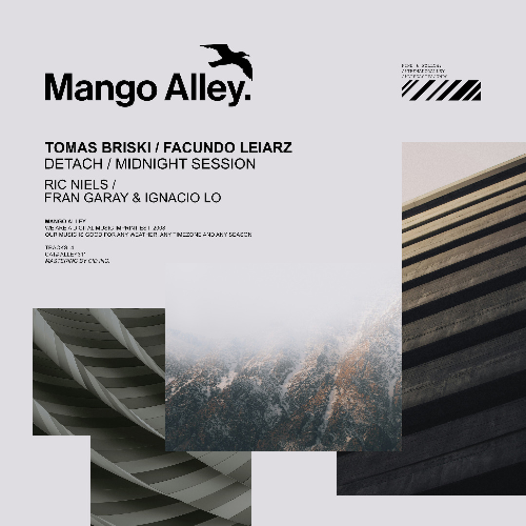 Stream PREMIERE: Tomas Briski - Detach (Ric Niels Remix) [Mango Alley ...