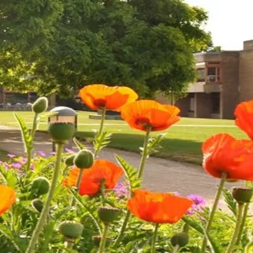 Stream Elegy, Op.15. On songs by Robert Priddey by Chris Finlayson | Listen online for free on ...