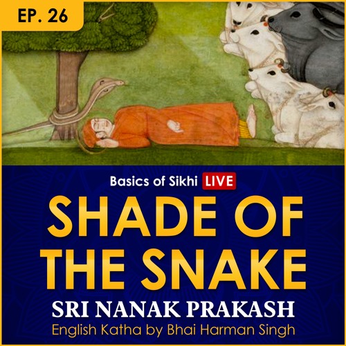 Stream #26 Shade of The Snake | Sri Nanak Prakash (Suraj Prakash) English Katha by Basics of ...