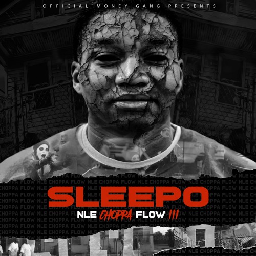 Stream Nle Choppa Flow 3 By Sleepo Listen Online For Free On Soundcloud
